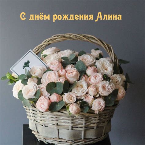 С днём рождения Алина