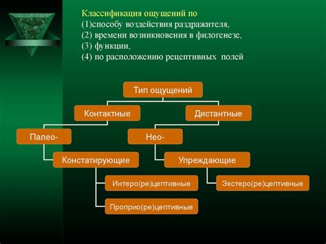 Познавательные психические процессы - презентация онлайн