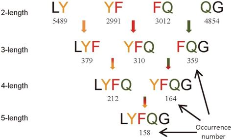 An Illustration Of Consecutive Sequence Pattern Mining Download Scientific Diagram