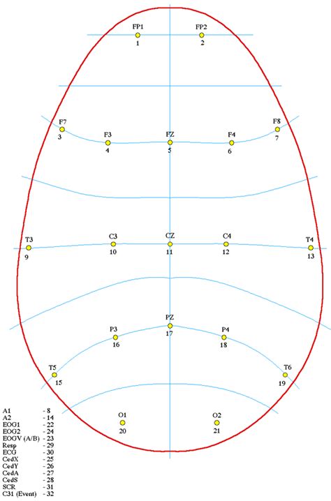 various eeg file formats and conventions