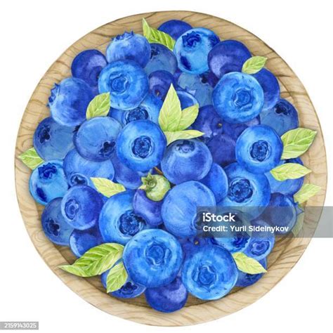 그릇에 블루 베리 수채화 잘 익은 열매가 테이블 위의 나무 접시에 담겨 있습니다 농장 수확 소박한 스타일 식물 그림 클립아트 포장 요구르트 잼 메뉴 건강한 생활방식에 대한