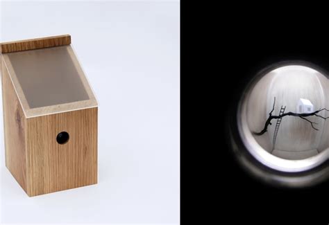 David Hepher Flowers Gallery