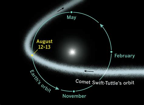 This Weekends Perseid Meteor Shower Is Worth Staying Up For Cbc News