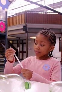 Bitz Bob You Can Do It Too Season Episode Rotten Tomatoes