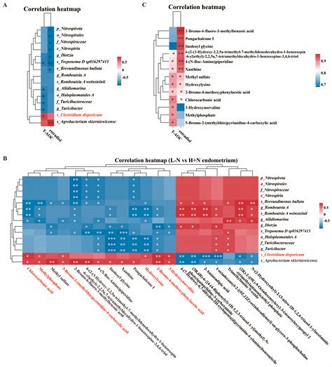 High Fiber Diet Supplemented With N Carbamylglutamate Modulates Uterine