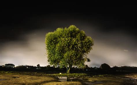 우울한 밤 시입니다 아름 다운 밤 별이 풍경 Astrophotography입니다 느린 셔터 속도입니다 아름 다운 하늘입니다 아름 다운 볼 수 있습니다 하늘에 구름 가을에