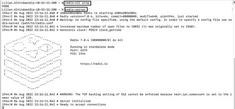 installing redis and redis gui on mac os lily e medium