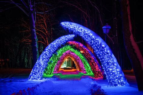 Light Festival In Pakruojis 2021