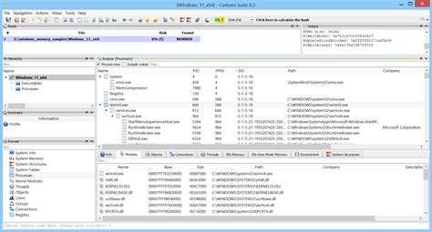 Memory Analysis Package Cerbero Blog