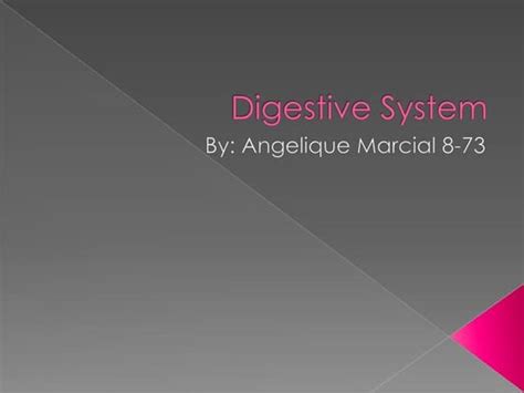 The Digestive System Pptx