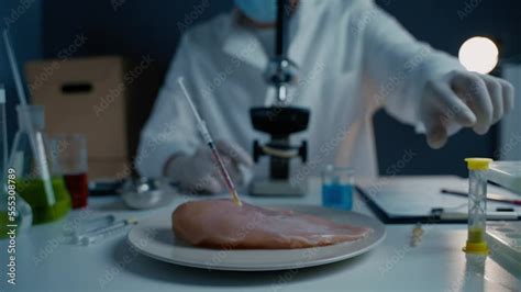 Lab Assistant Testing Gmo Chicken Worker Of Food Quality Control Examines Samples Behind A