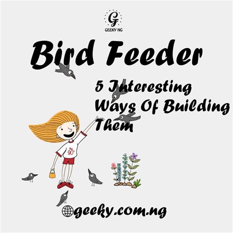 Geeky Nigeria On Linkedin Do You Know What Is Bird Feeder Click On The Link Below For Details