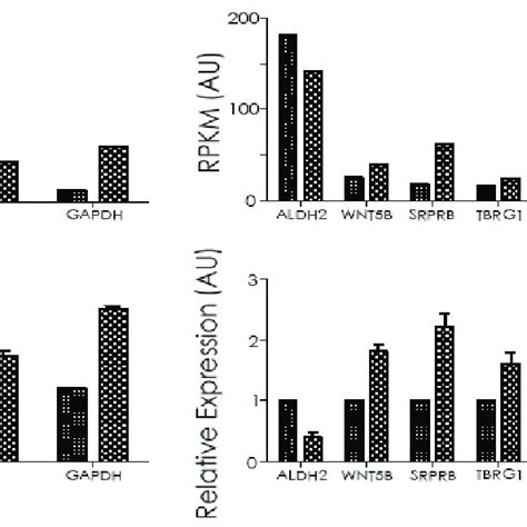Rna Seq Data Reliability Check By Rt Qpcr Panel A Indicates The Download Scientific Diagram