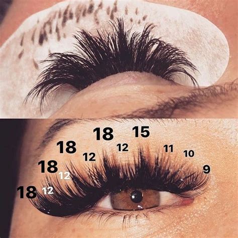 Wispy Style Map UBL Eyelash Extensions Styles Eyelash Extensions Eyelash Sets
