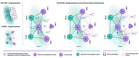 2404 07194 Vn Egnn E 3 Equivariant Graph Neural Networks With Virtual Nodes Enhance Protein