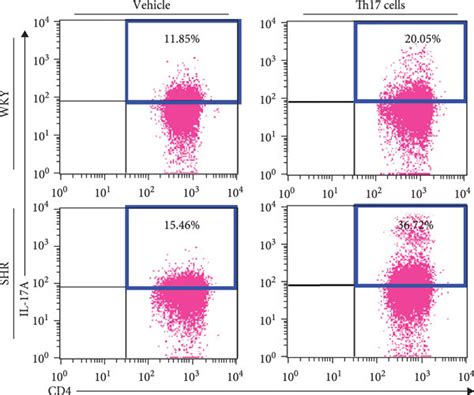 T Cell Profiles Of PBMCs In Juvenile Recipient WKY And SHR For Days Download Scientific