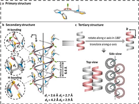 Hierarchical Self Assembly Of Snns Molecules In The Crystalline Phase