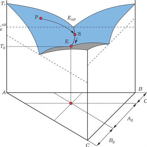 Phase Diagram Of A Three Component System Each Corner Of The Phase Download Scientific Diagram
