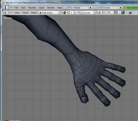 Questions Regarding Vertex Display And Proxy Rigged Meshes Please Help Animation And Rigging