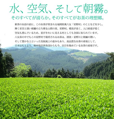 【楽天市場】【2019年産 新茶】玉露 九州 【送料無料】伝統本玉露 50g 星野村産 手摘み茶の最高級品！減農薬 減化学肥料の九州のお