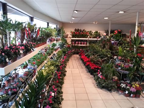 Cvecara Cveta Online Placanje ️ Brza Isporuka ️ Rs ️ Cvecara Rs