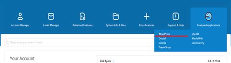 how to install wordpress in directadmin