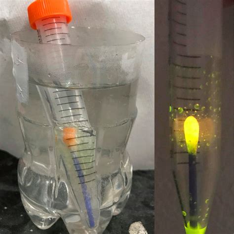 Cotton Swab And Extract After Extraction Procedure Performed On Pink Download Scientific