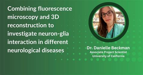 Combining Fluorescence Microscopy And 3d Reconstruction To Investigate Neuron Glia Interaction