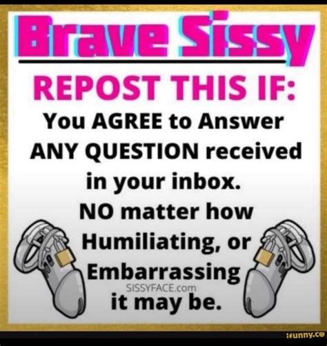 Sissy Harem
