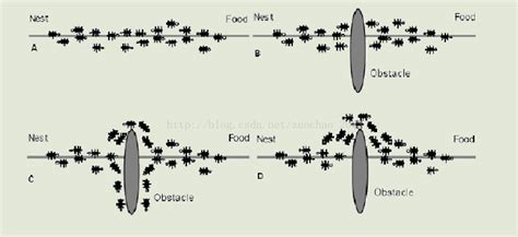 蚁群算法解tsp Csdn博客