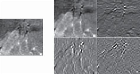 Dwt Decomposition A Original Image B Single Level Discrete 2 D