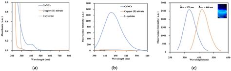 Sensors Free Full Text A Ratiometric Fluorescence Amplification Using Copper Nanoclusters