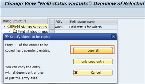 SAP FICO Central Define Field Status Variant In SAP