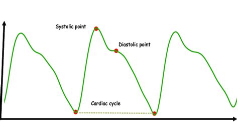An Example Of A Filtered Ppg Signal Download Scientific Diagram