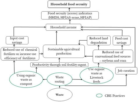 Conceptual Framework Linking Circular Bioeconomy Cbe Practices To Download Scientific Diagram