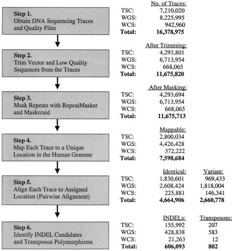 —computational Pipeline For Indel And Transposon Polymorphism Download Scientific Diagram