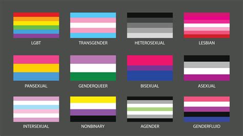 Set Simple Sexual And Gender Colorful Flags Vector Art At Vecteezy