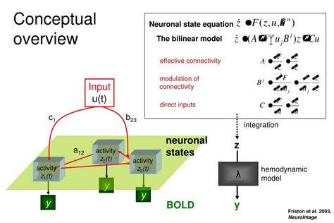 Ppt Dynamic Causal Modelling Dcm For Fmri Powerpoint Presentation Free Download Id 9499072