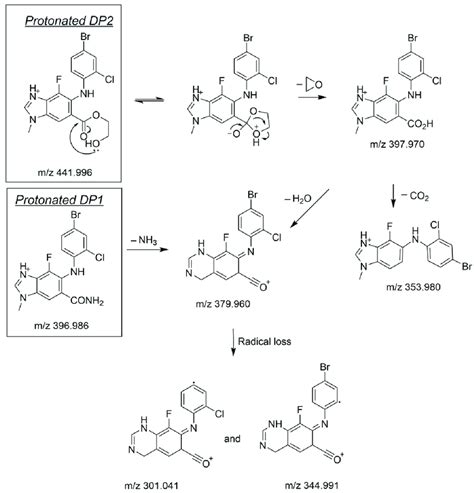 Scheme 2 Fragmentation Pattern Of Protonated Dp1 And Dp2 Download