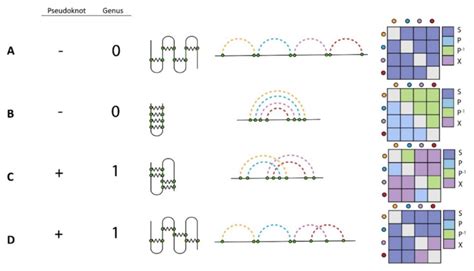 pseudoknots genus and circuit topology a comparison four examples of download scientific