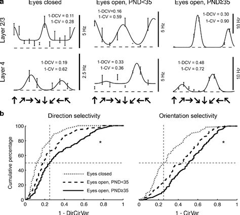Figure 1 From The Laminar Development Of Direction Selectivity In