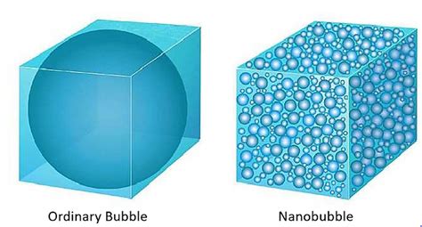 Tiny Bubbles Huge Potential Nanobubbles Explained