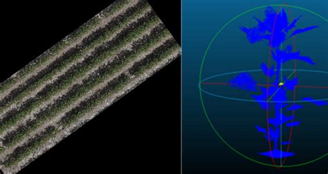 Msc Thesis Topic From Pot To Plot Correlating High Throughput Phenotyping Data From A