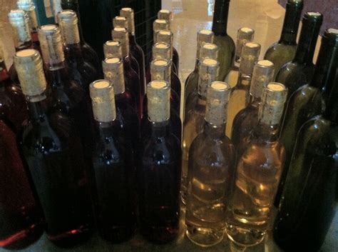 무료 이미지 포도주 음주 알코올 와인 병 유리 병 맥주병 위스키 리큐어 켈러 주류 증류수 마시는 것