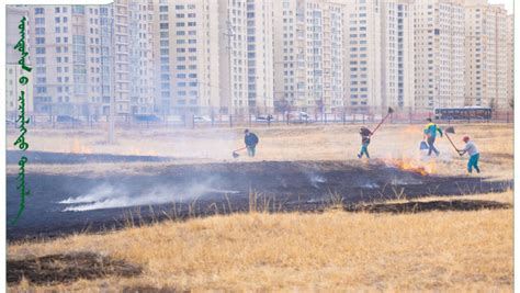 Өнөөдөр Үндэсний цэцэрлэгт хүрээлэнд зориудаар гал тавьсан үйлдэл гарлаа