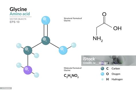 글리신 글리 C2h5no2 Î아미노산 구조 화학식 및 분자 3d 모델 색상 코딩이 있는 원자 벡터 일러스트 레이 션 3차원 형태에 대한 스톡 벡터 아트 및 기타 이미지