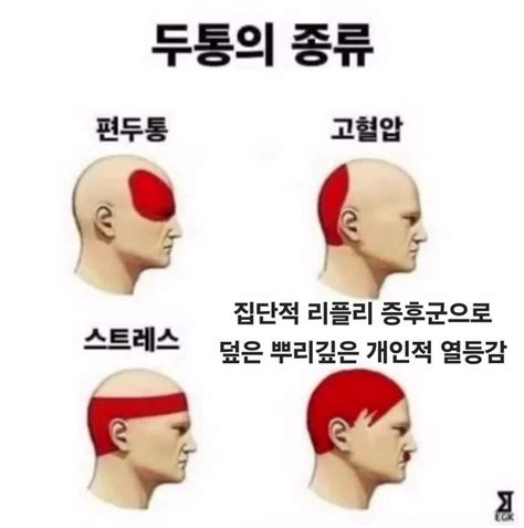 두통의 종류 뉴리넷