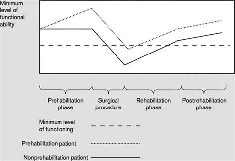 Multimodal Prehabilitation Programs For Older Surgical Patients Anesthesiology Clinics