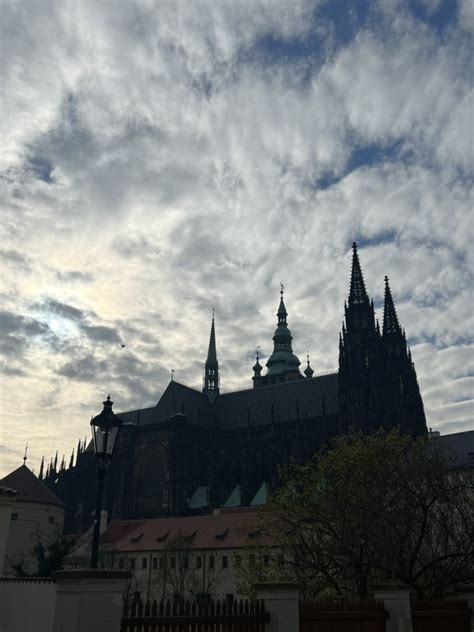 동유럽 패키지 Day8 프라하의 날프라하 성 성 비투스 대성당 황금소로 까를교식사 후기 네이버 블로그