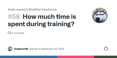 how much time is spent during training · issue 58 · dvlab research